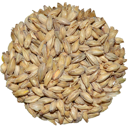 Base Malts – Small Batch Brewtique