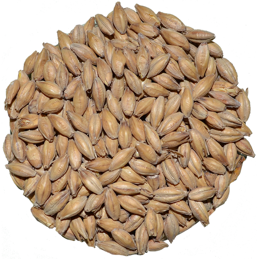 Base Malts – Small Batch Brewtique